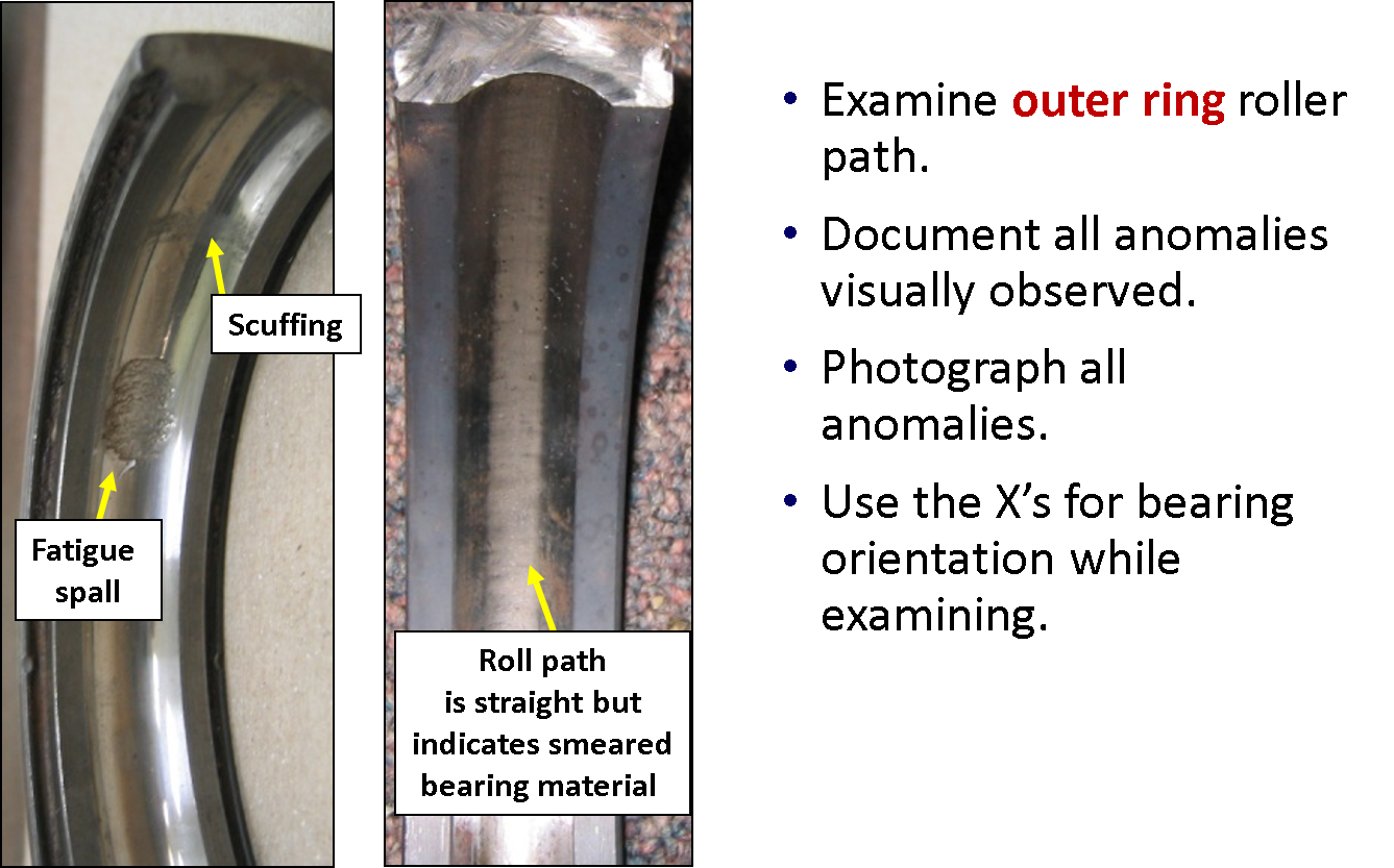 Examining Rolling Element Bearings | Reliability